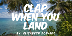 Clap When You Land by Elizabeth Acevedo - Feminist Book Club